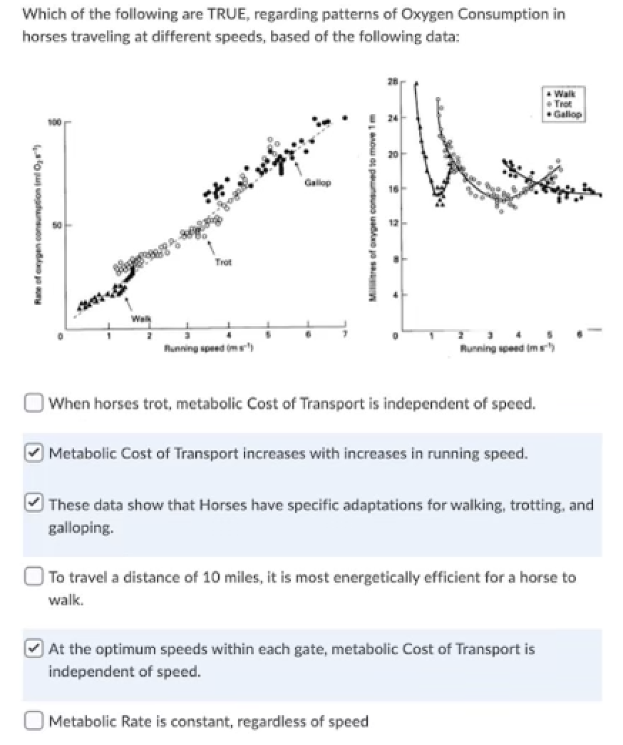 Solved Which of the following are TRUE, regarding patterns | Chegg.com
