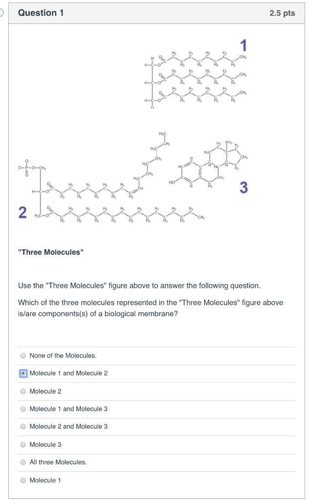 Solved Use the "Three Molecules" figure above to answer | Chegg.com