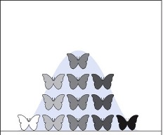 Solved Three patterns of natural selection are (1) | Chegg.com