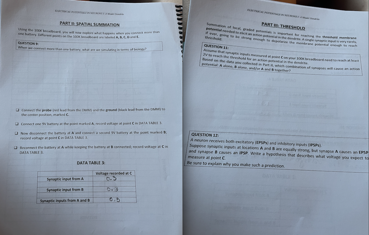 potentials is important for reaching the threshold | Chegg.com