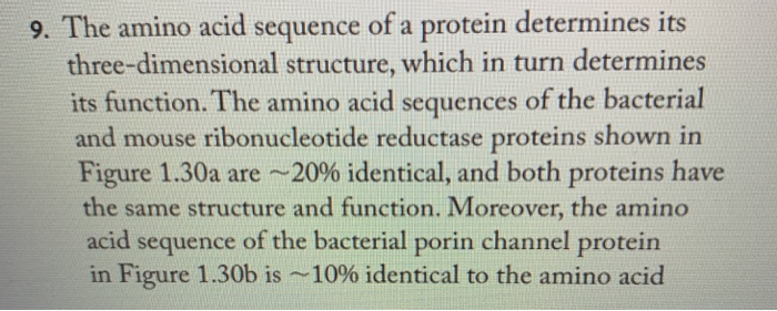 9. The amino acid sequence of a protein determines | Chegg.com