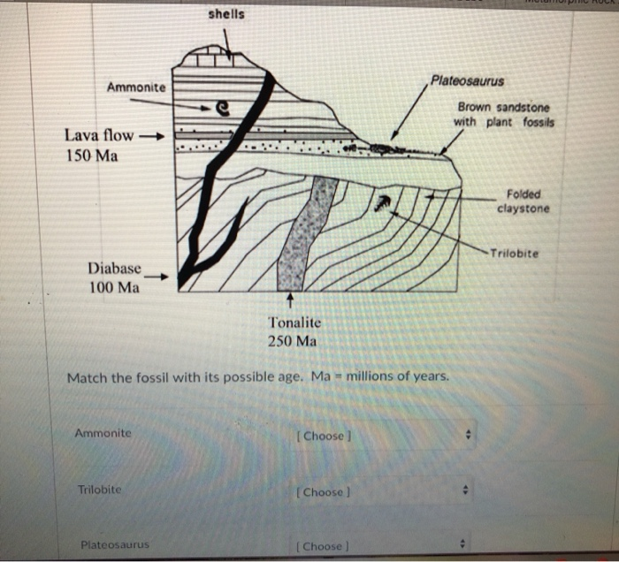 Solved arks Window Help a iu.instructure.com Sedimentary | Chegg.com