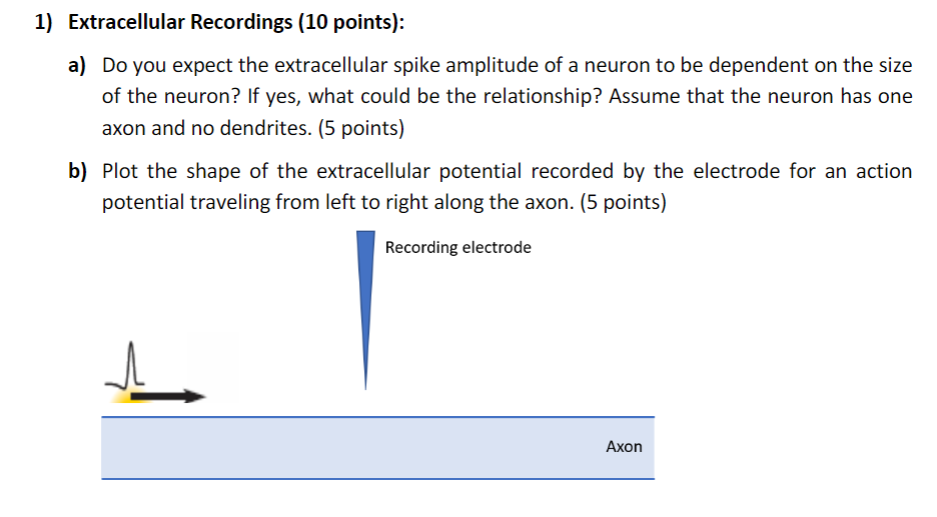 Solved 1) Extracellular Recordings (10 points): a) Do you | Chegg.com