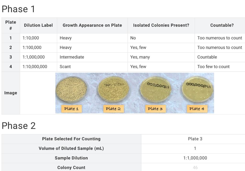 Solved Phase 1 Image Phase 2using The Count Data And 