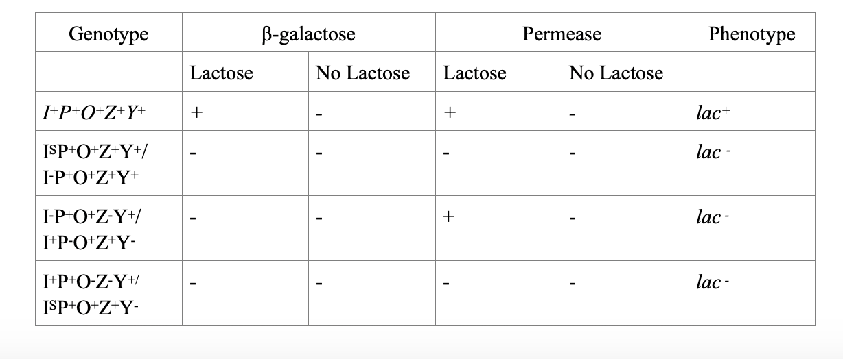 Solved Is this correct? Compete the following table, | Chegg.com
