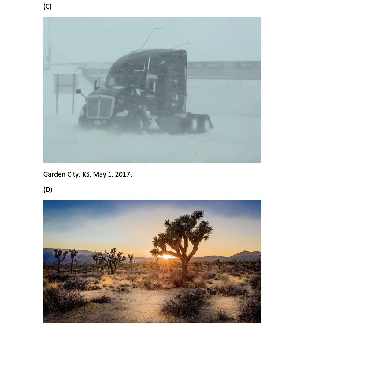 Correct answers only, please. | Chegg.com