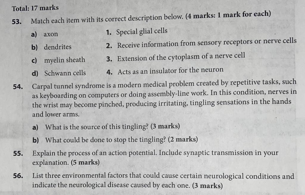 Solved Total: 17 marks 53. axon Match each item with its | Chegg.com