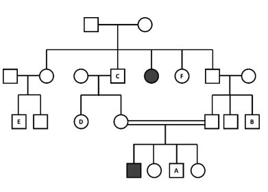 Solved 1. The orange locus in cats is located on the X | Chegg.com