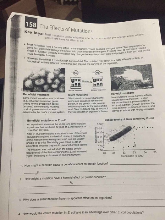 Solved 158 The Effects of Mutations Key idea: Most mutations | Chegg.com