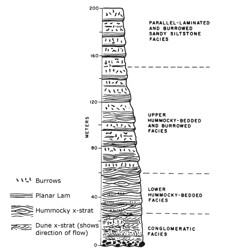 Solved The following stratigraphic column represents a | Chegg.com