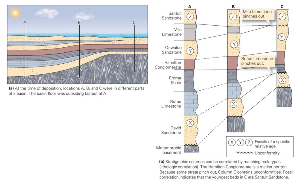 Solved Correlation is critical to understanding historical | Chegg.com