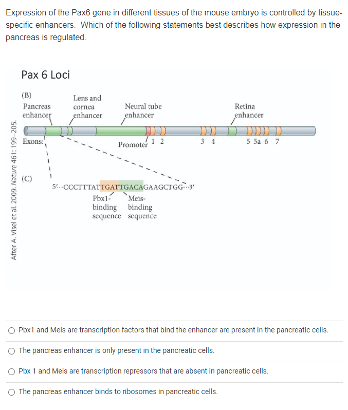 Solved Expression of the Pax6 ﻿gene in different tissues of | Chegg.com