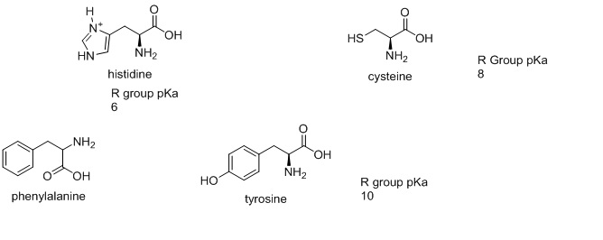 Solved HS он R Group pKa 8 NH2 NH HN histidine cysteine R | Chegg.com