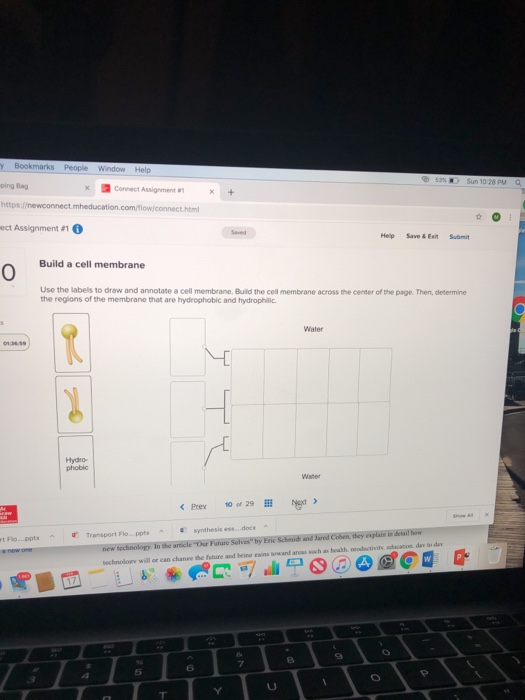 Solved Bookmarks People Window Help Assignment#1 Help Save& | Chegg.com
