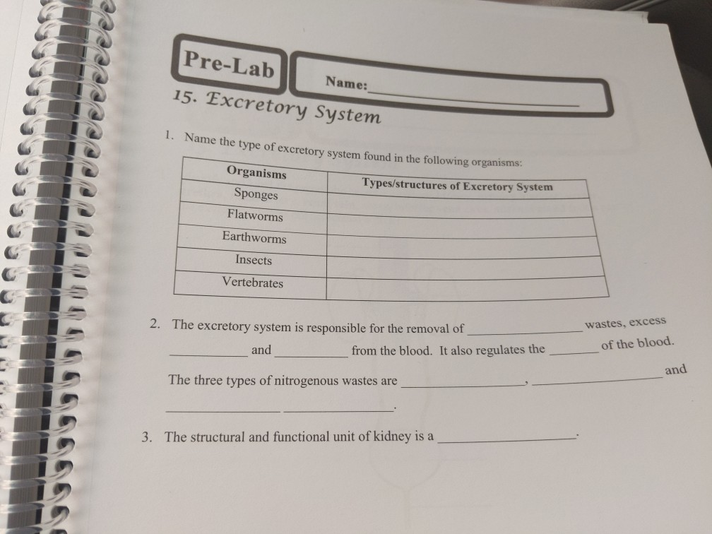 Solved Pre-Lab 15. Excretory System 1. Name the type of | Chegg.com