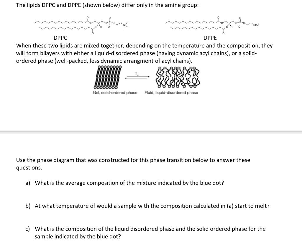 Solved The lipids DPPC and DPPE (shown below) differ only in | Chegg.com