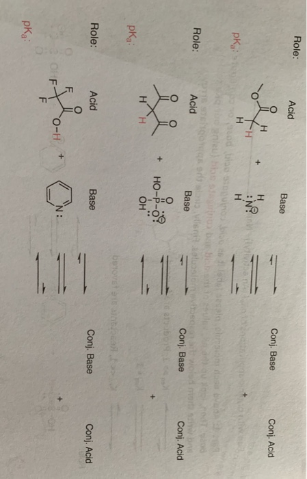 Solved 111 111 111 Role: Acid Base Conj. Base Conj. Acid :N | Chegg.com