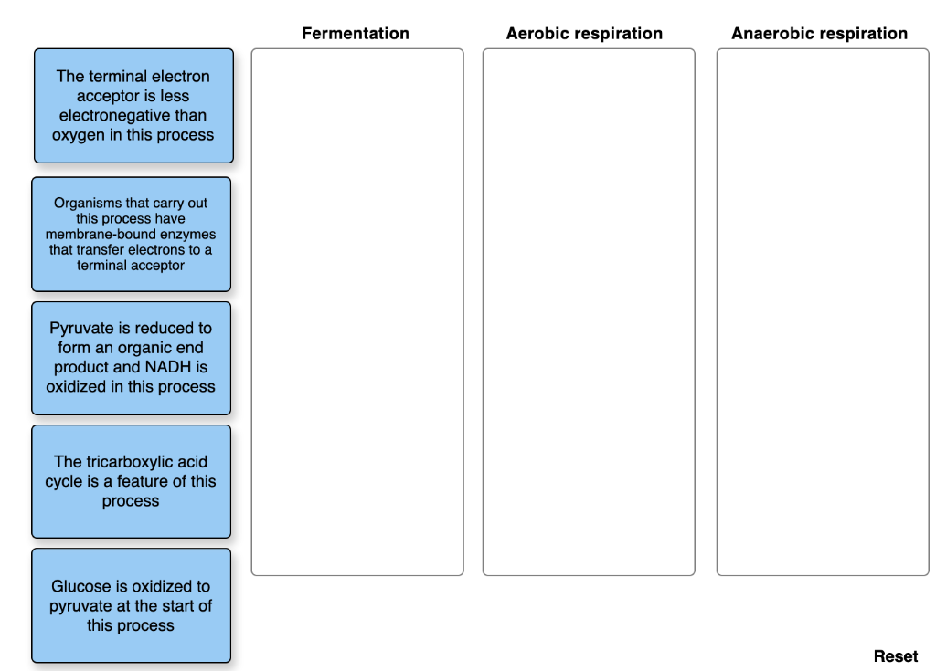 Solved Fermentation Aerobic respiration Anaerobic | Chegg.com