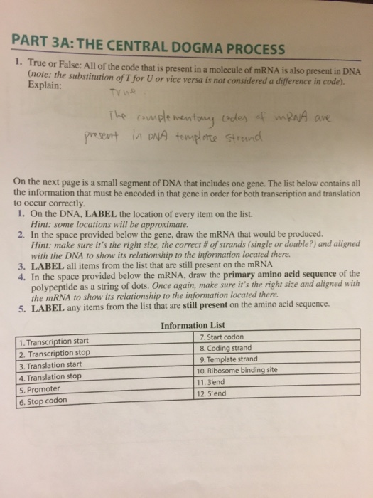 Solved PART 3A:THE CENTRAL DOGMA PROCESS 1. True or False: | Chegg.com
