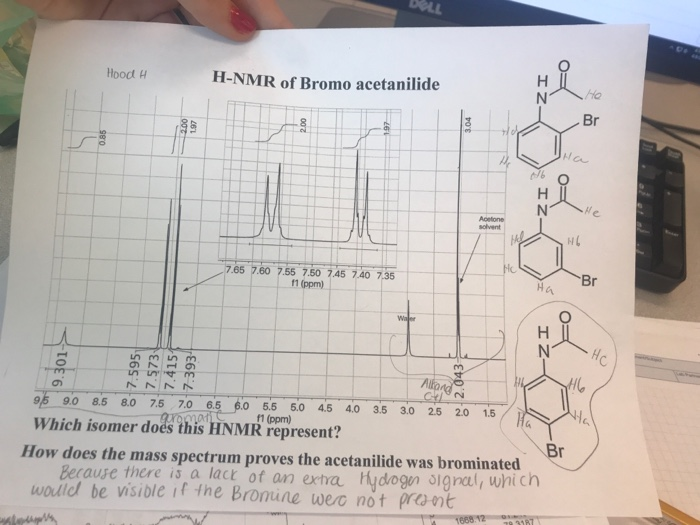 Solved Using letters on your structure above label each | Chegg.com