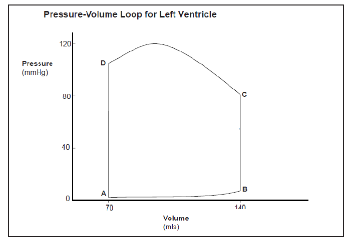 Solved 1. Indicate on the diagram where mitral and aortic | Chegg.com