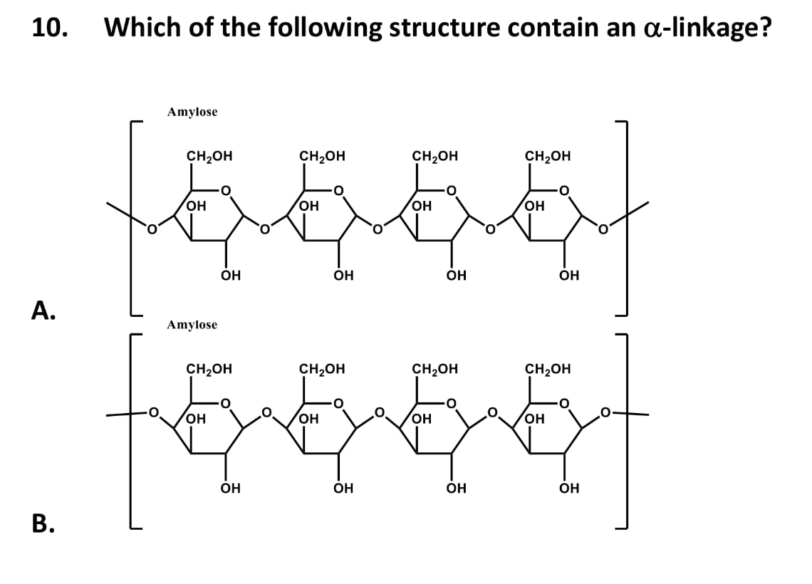 Solved 10. Which of the following structure contain an | Chegg.com