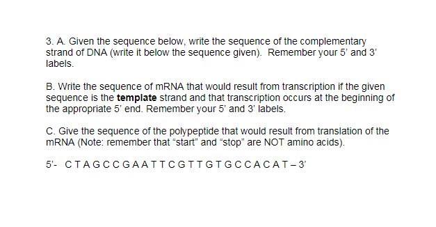 1. The sequence given below is one strand of DNA. A. | Chegg.com