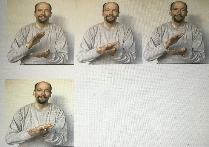 Sign Language Patting Head