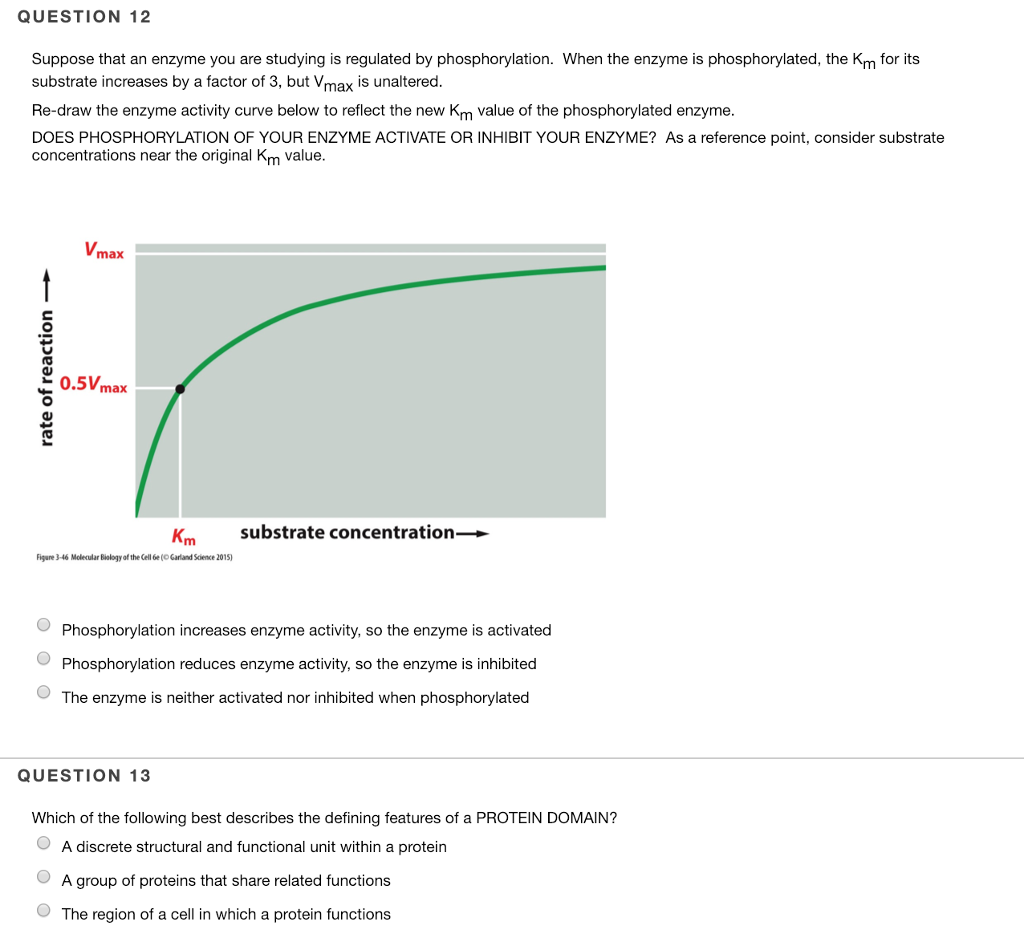 Solved QUESTION 12 Suppose that an enzyme you are studying | Chegg.com
