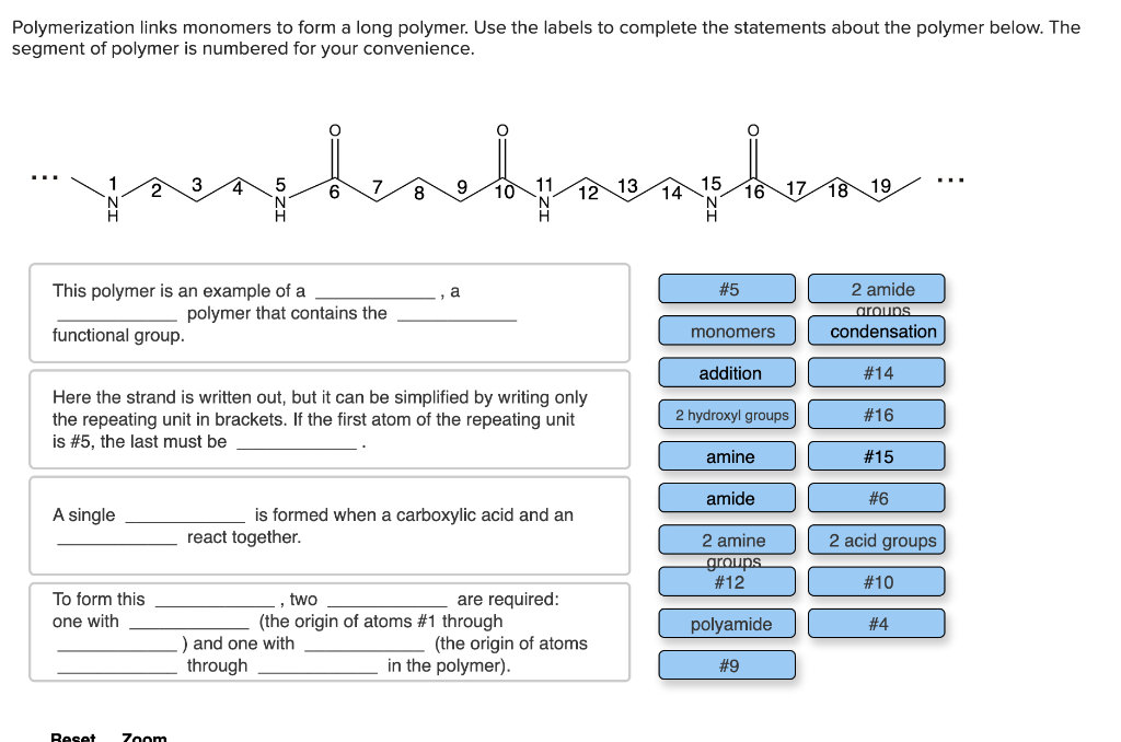 Solved Polymerization links monomers to form a long polymer. | Chegg.com