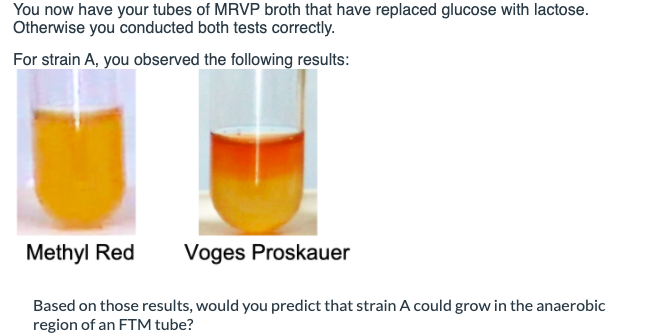Solved You now have your tubes of MRVP broth that have | Chegg.com