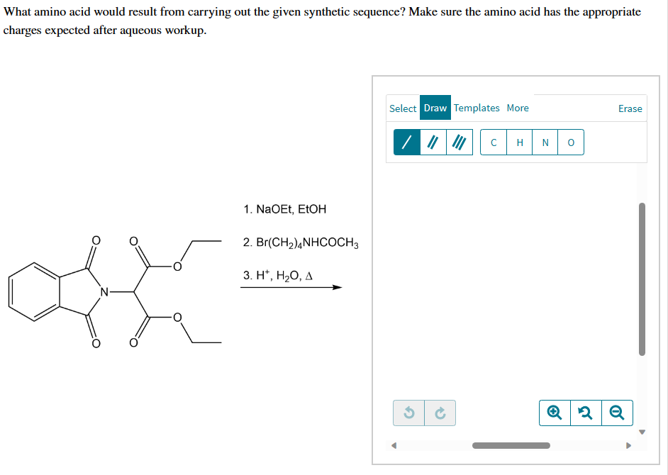 Solved What amino acid would result from carrying out the | Chegg.com