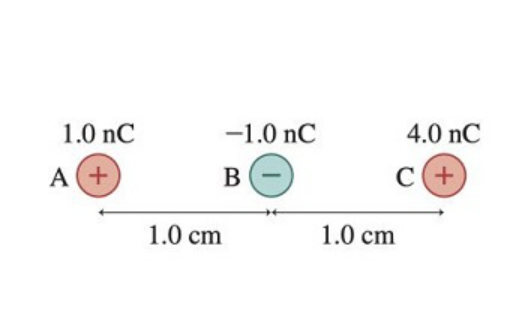 Solved What Is The Magnitude Of The Net Electric Force On