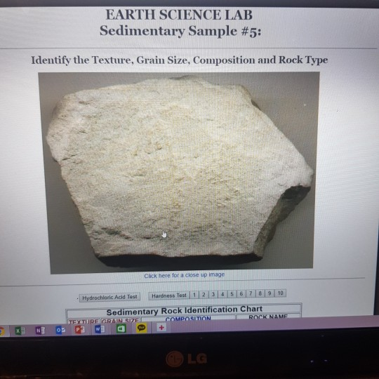 Solved EARTH SCIENCE LAB Sedimentary Sample #1: Identify the | Chegg.com