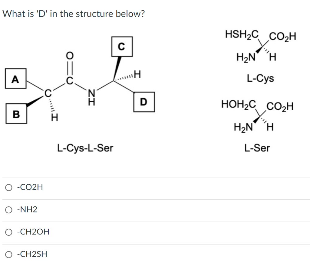 Solved What is 'D' in the structure below? C A B -CO2H -NH2 | Chegg.com