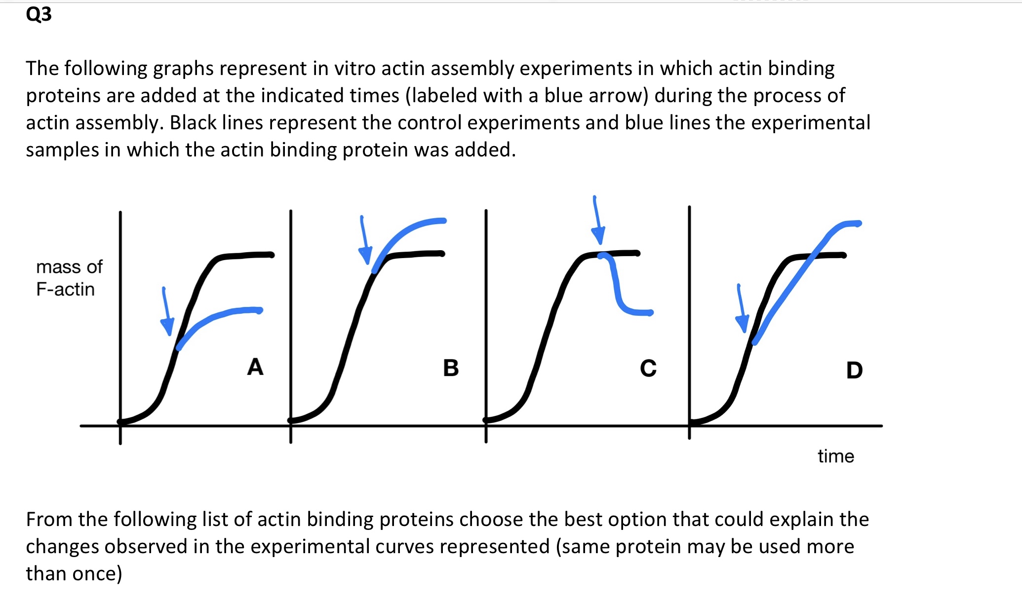 Solved actin binding proteins:- cytochalasin D: a fungal | Chegg.com