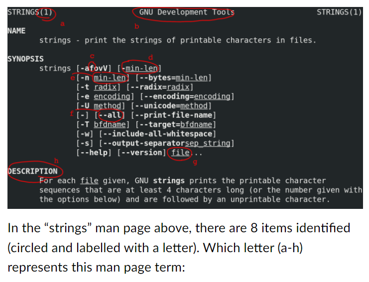 Solved STRINGS(1) GNU Development Tools STRINGS(1) NAME | Chegg.com