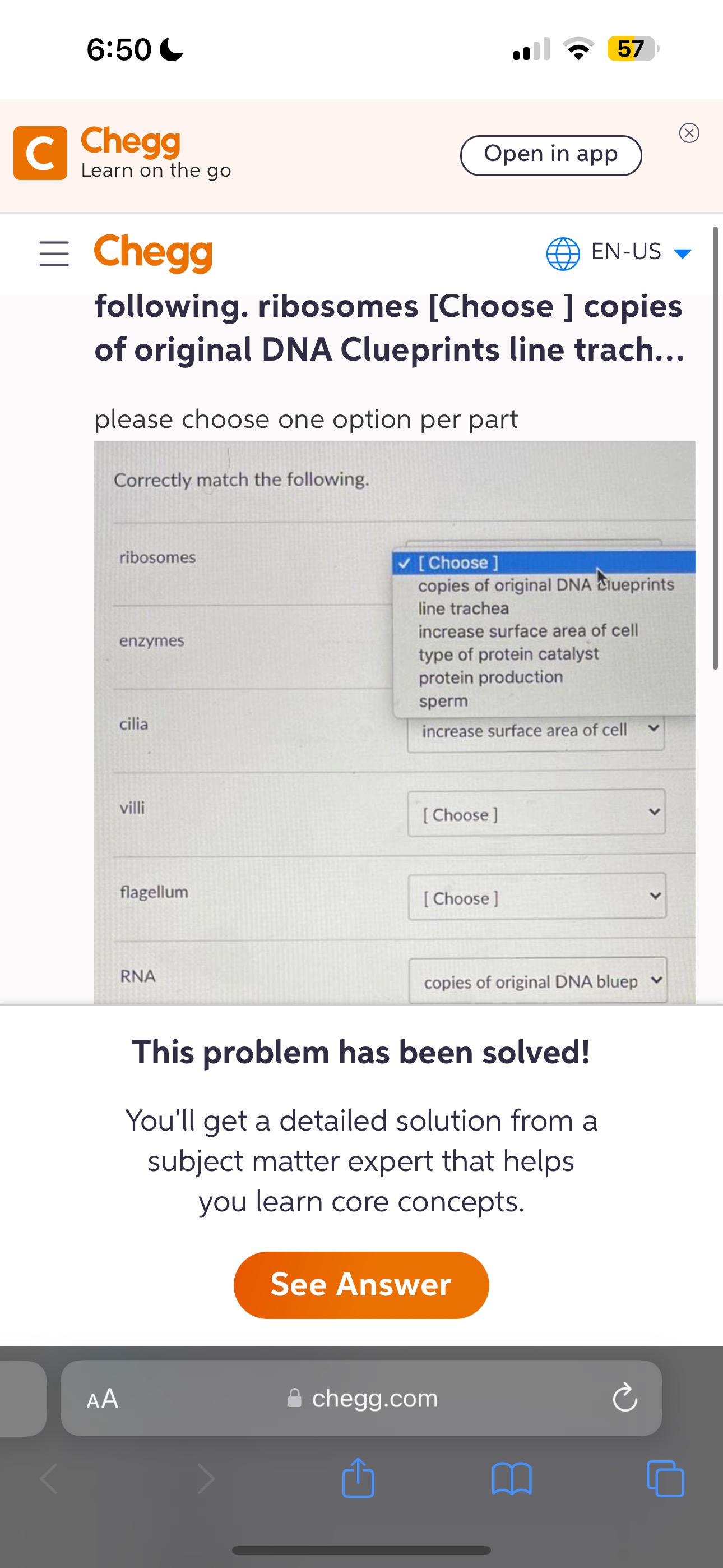Solved please choose one option per part\\nCorrectly match | Chegg.com