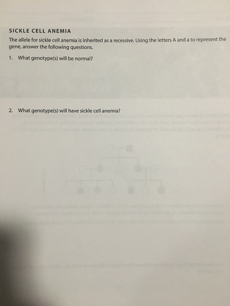 Solved SICKLE CELL ANEMIA The allele for sickle cell anemia | Chegg.com