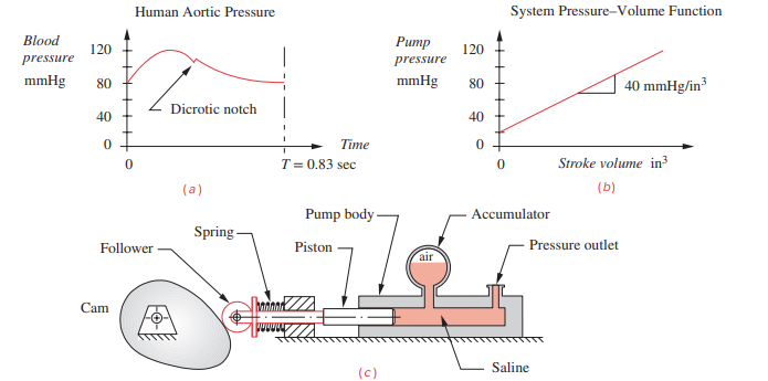 Solved -2 A cam-driven pump to simulate human aortic | Chegg.com