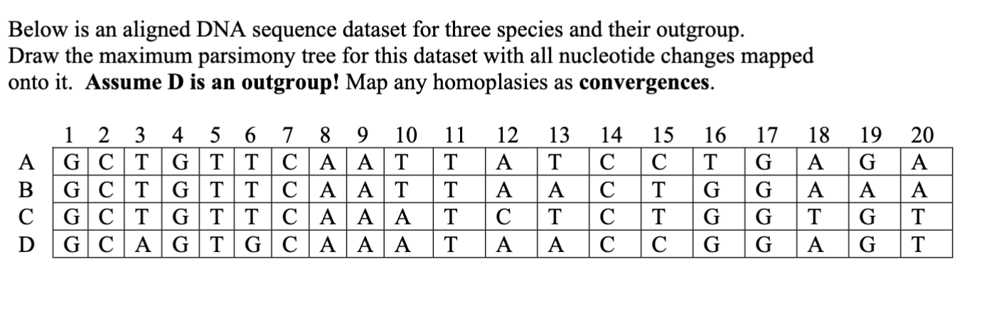 Below is an aligned DNA sequence dataset for three | Chegg.com