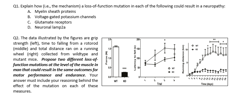 Solved Q1. Explain how (i.e., the mechanism) a | Chegg.com Solved Q1. Explain how (i.e., the mechanism) a | Chegg.com