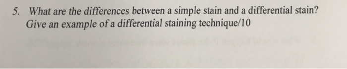 Solved What are the differences between a simple stain and a | Chegg.com