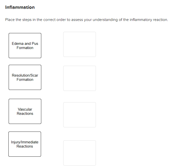Solved Place the steps in the correct order to assess your | Chegg.com