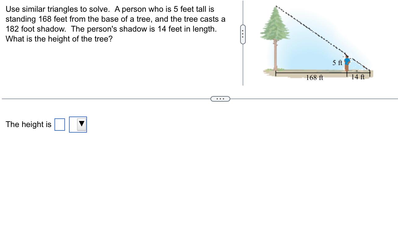 Solved Find the area of the figure. A=Use similar triangles | Chegg.com