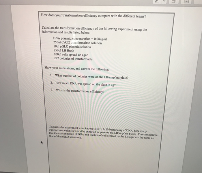 Solved How Does Your Transformation Efficiency Compare With