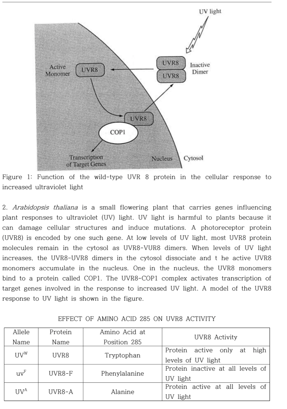 Figure 1: Function of the wild-type UVR 8 protein in | Chegg.com