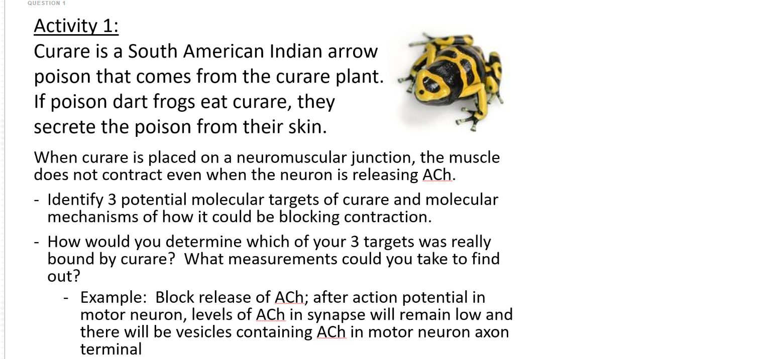 Solved QUESTION 1 Activity 1: Curare is a South American | Chegg.com