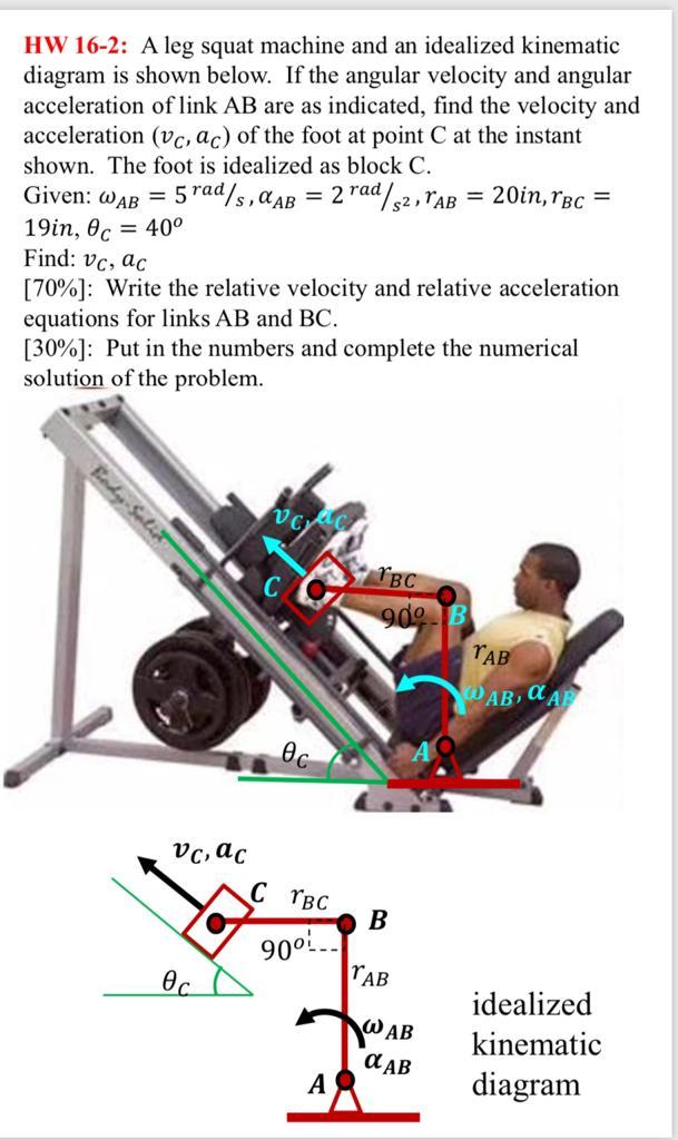 Solved HW 16-2: A leg squat machine and an idealized | Chegg.com
