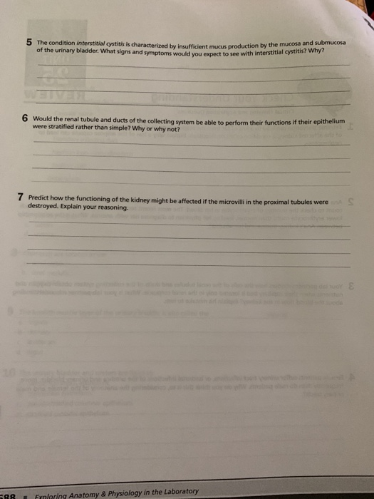 Solved Name Section Date UNIT 25 Check Your Understanding | Chegg.com